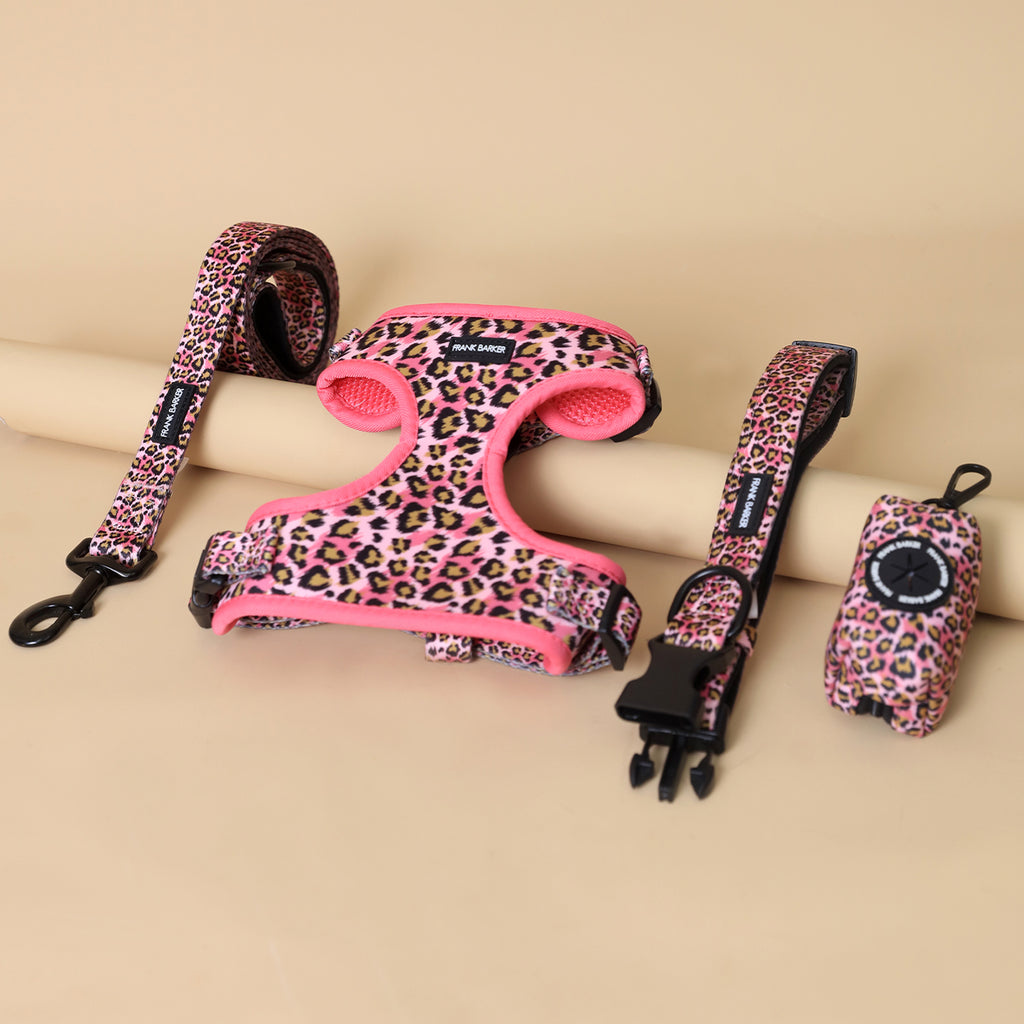 Frank Barker Harness | Leopard | Collectables