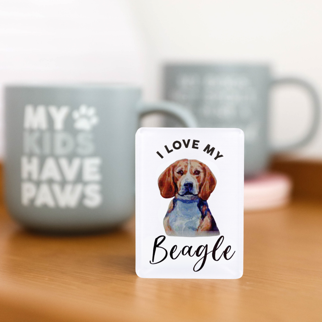 Splosh Beagle Pet Magnet | Collectables