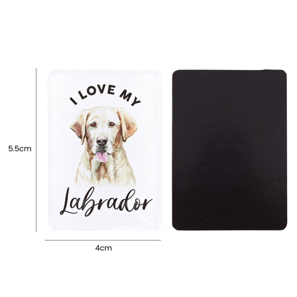 Splosh Pet Magnet Labrador | Collectables