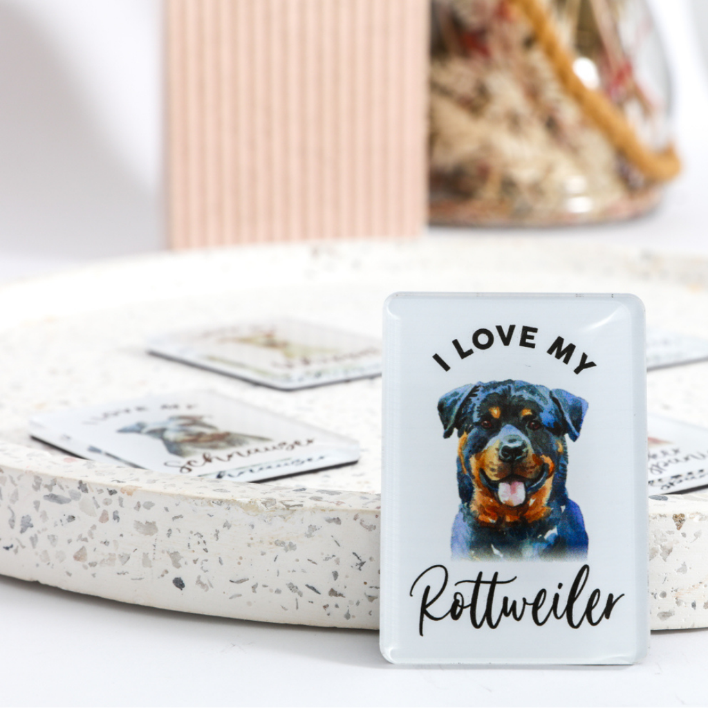 Splosh Pet Magnet Rottweiler | Collectables
