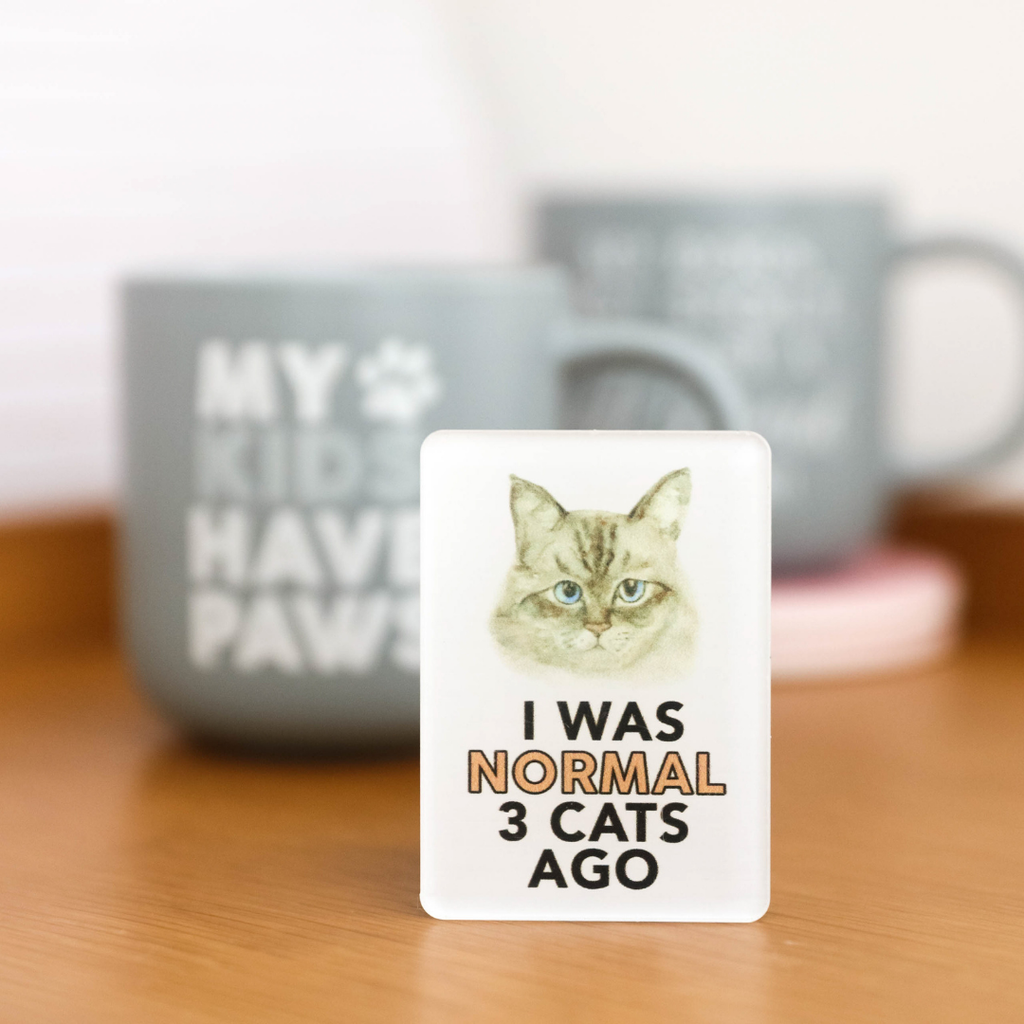 Splosh Pet Normal 3 Cats Ago Magnet | Collectables
