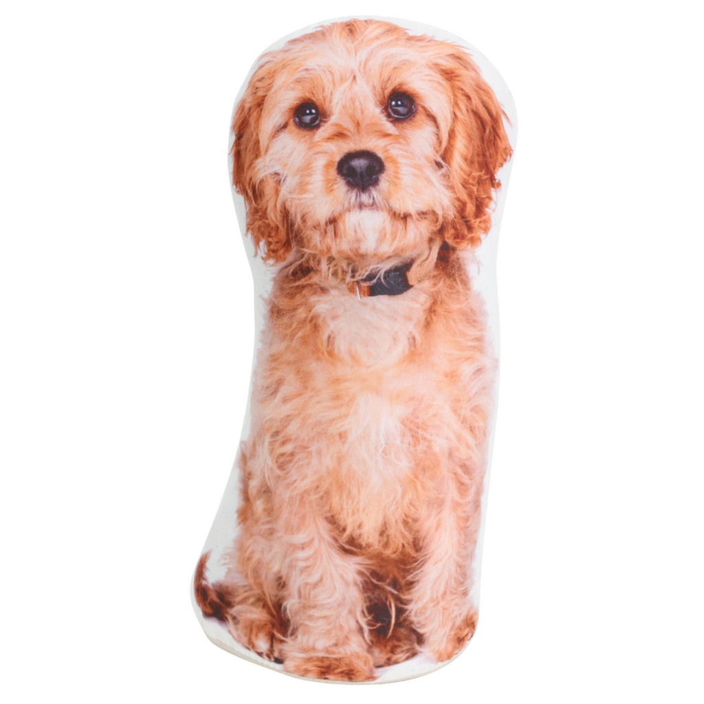 Splosh Adopt A Doorstop Charlie The Cockapoo | Collectables