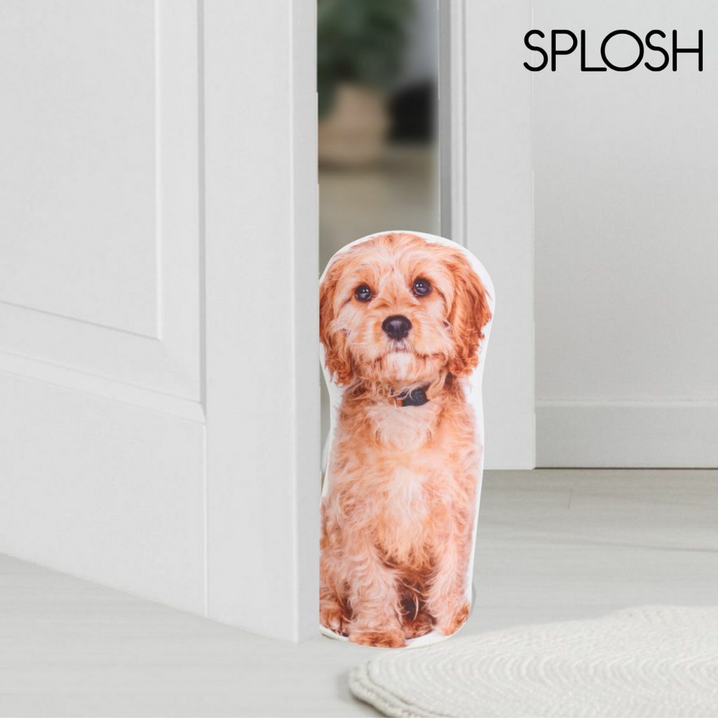 Splosh Adopt A Doorstop Charlie The Cockapoo | Collectables