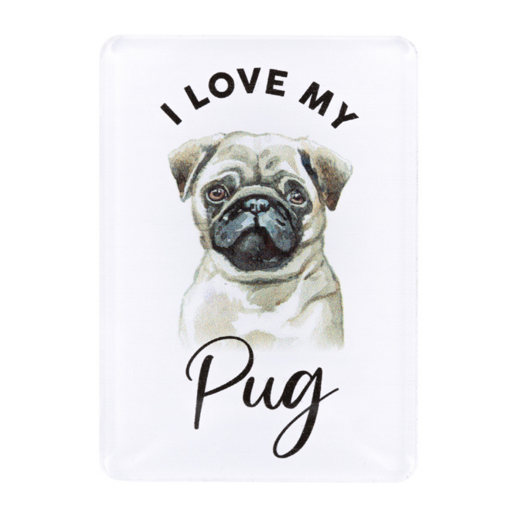 Splosh Pet Magnet Pug | Collectables