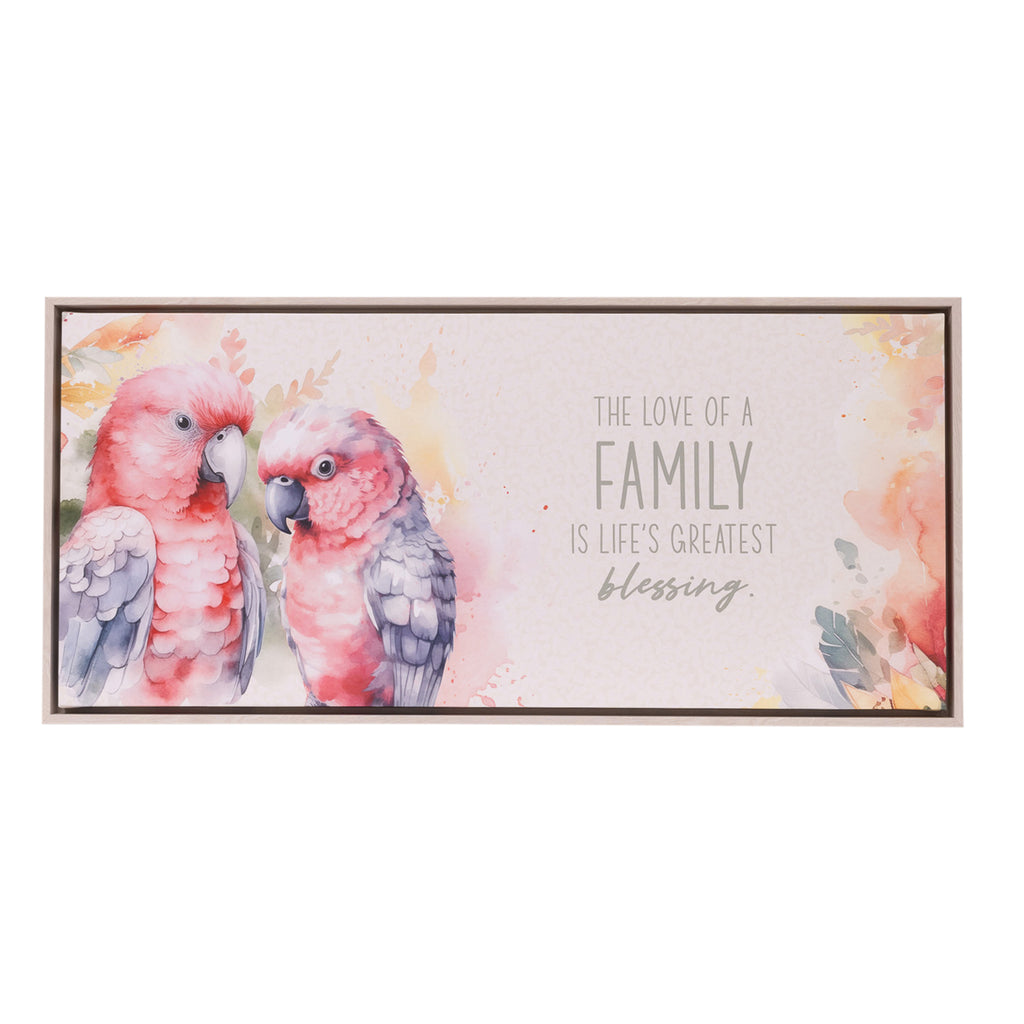 Splosh - Galah Framed Canvas 94x44 - Native Blooms | Collectables