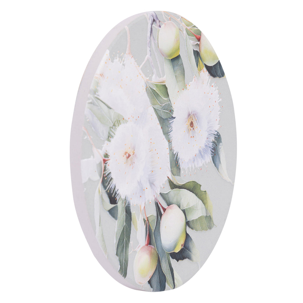 Splosh - Gumnuts Ceramic Coaster - Native Blooms | Collectables
