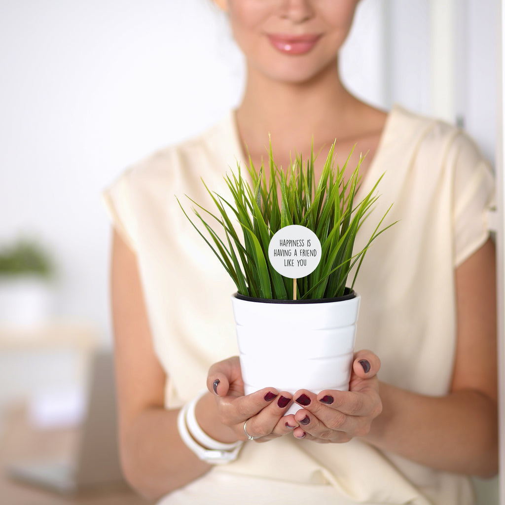 Splosh - I Love You Plant Message | Collectables