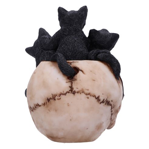 Nemesis Cranial Litter Statue | Collectables