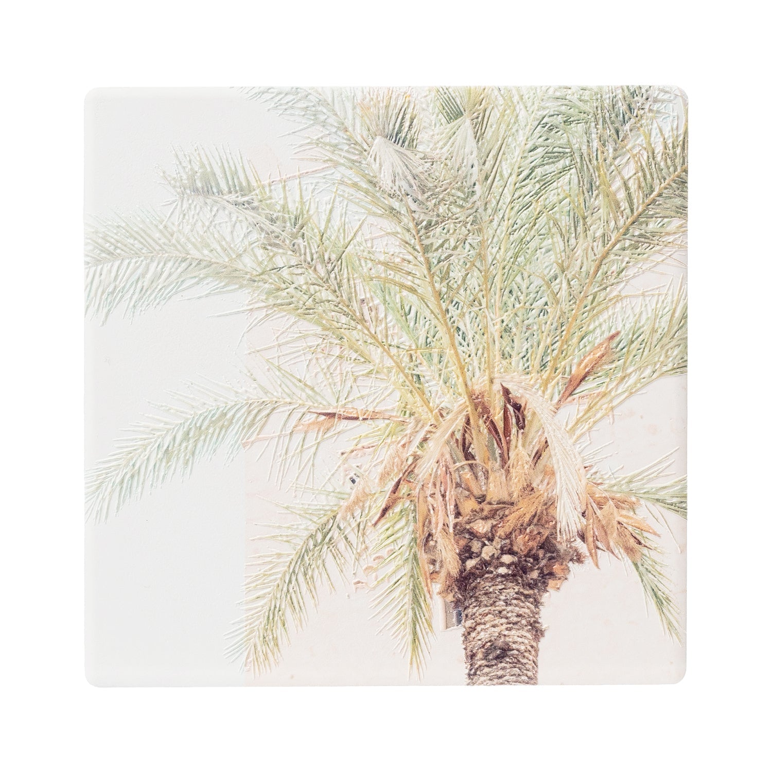 Splosh Modern Oasis Tree Ceramic Coaster